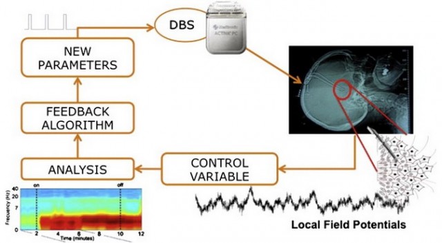 adaptive brain control | Brain-Computer Interface